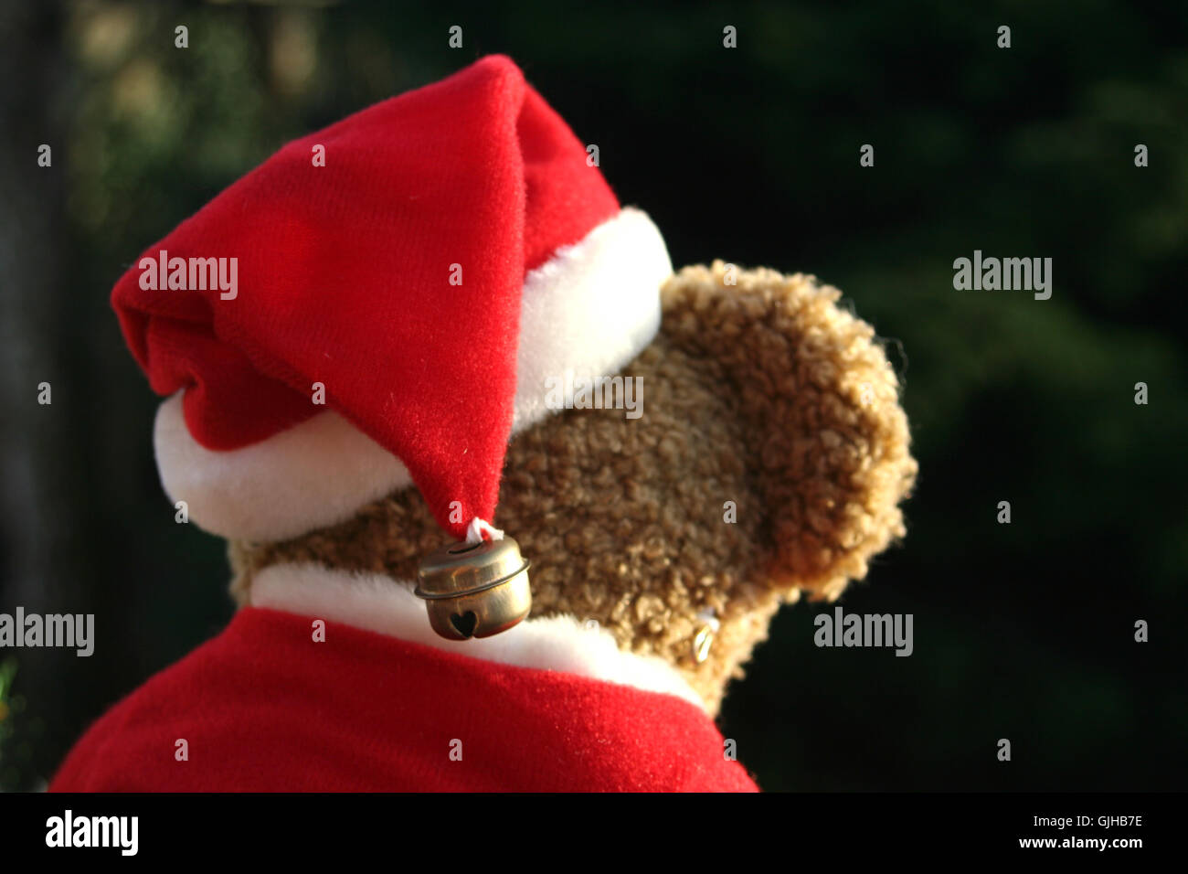 advent teddy teddy bear Stock Photo - Alamy