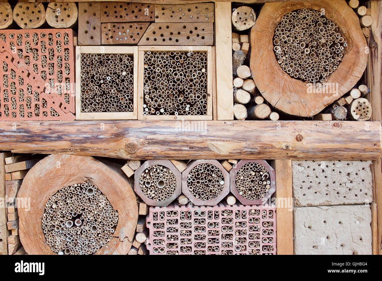 the insect hotel is for many insect species Stock Photo - Alamy