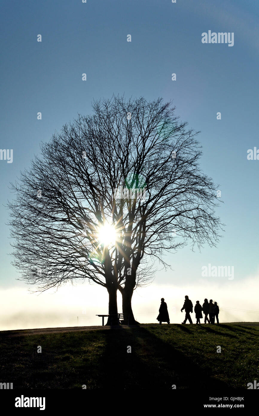 blue humans human beings Stock Photo - Alamy