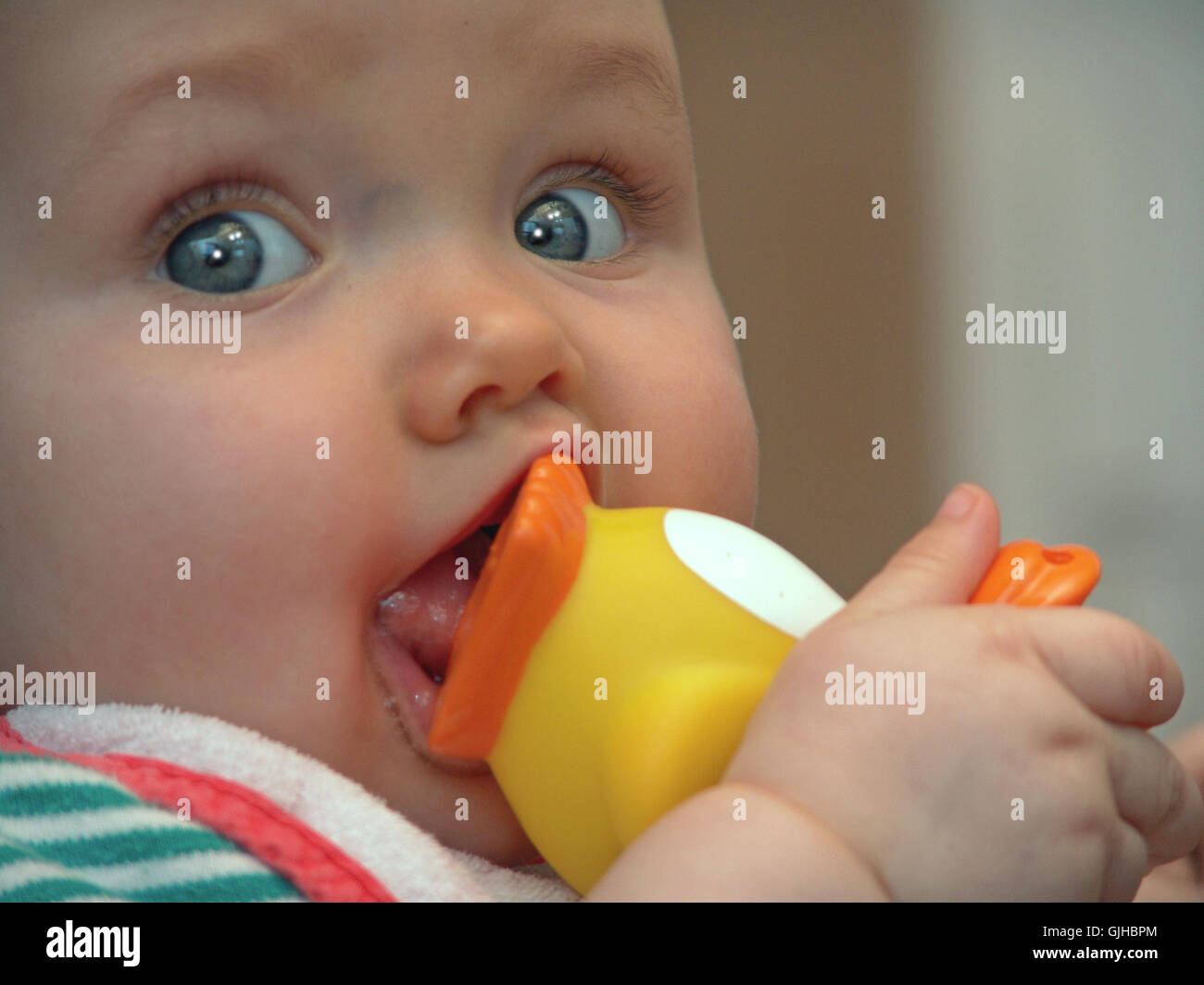the first tooth Stock Photo - Alamy