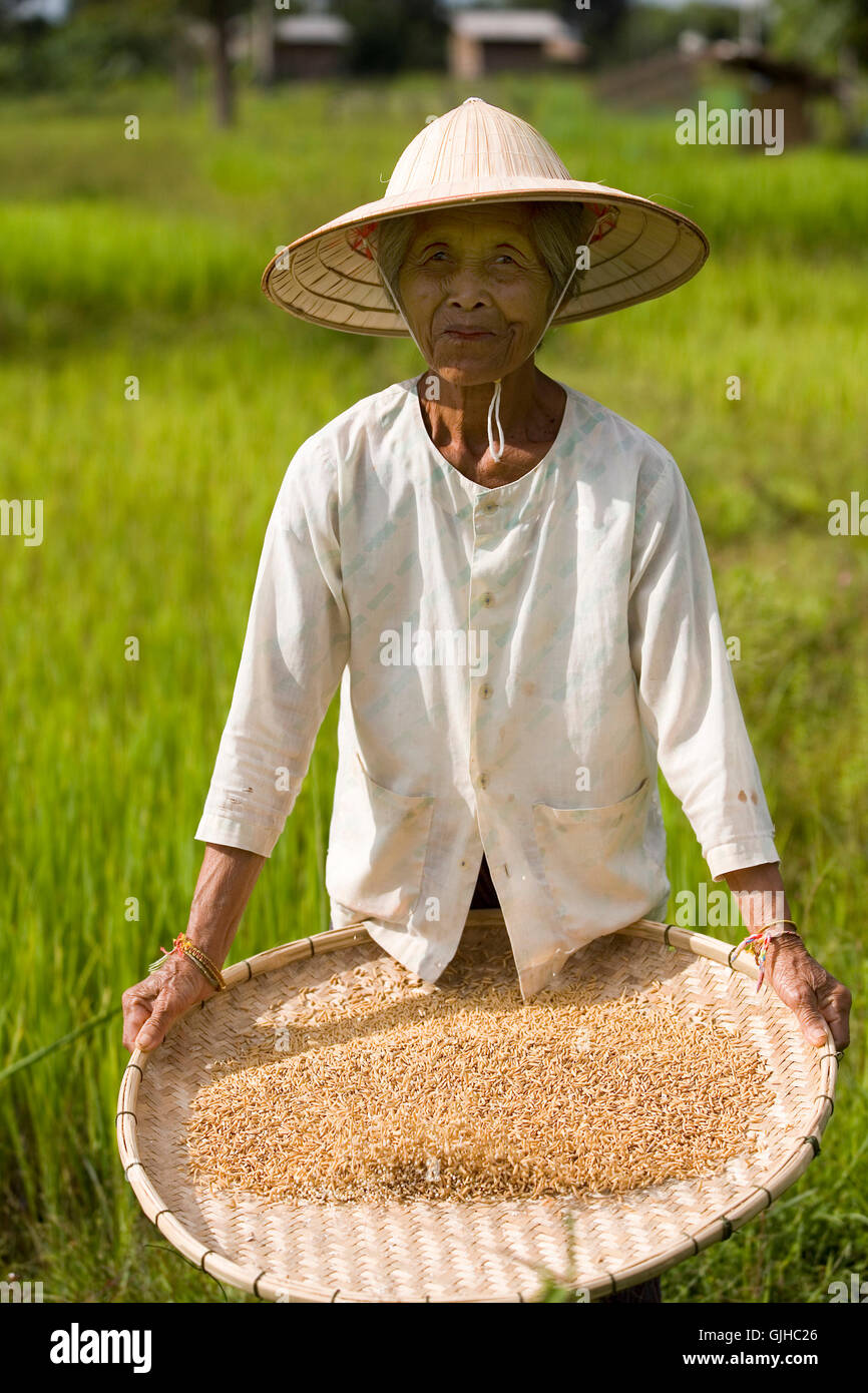 Vietnamesenhut hi-res stock photography and images - Alamy