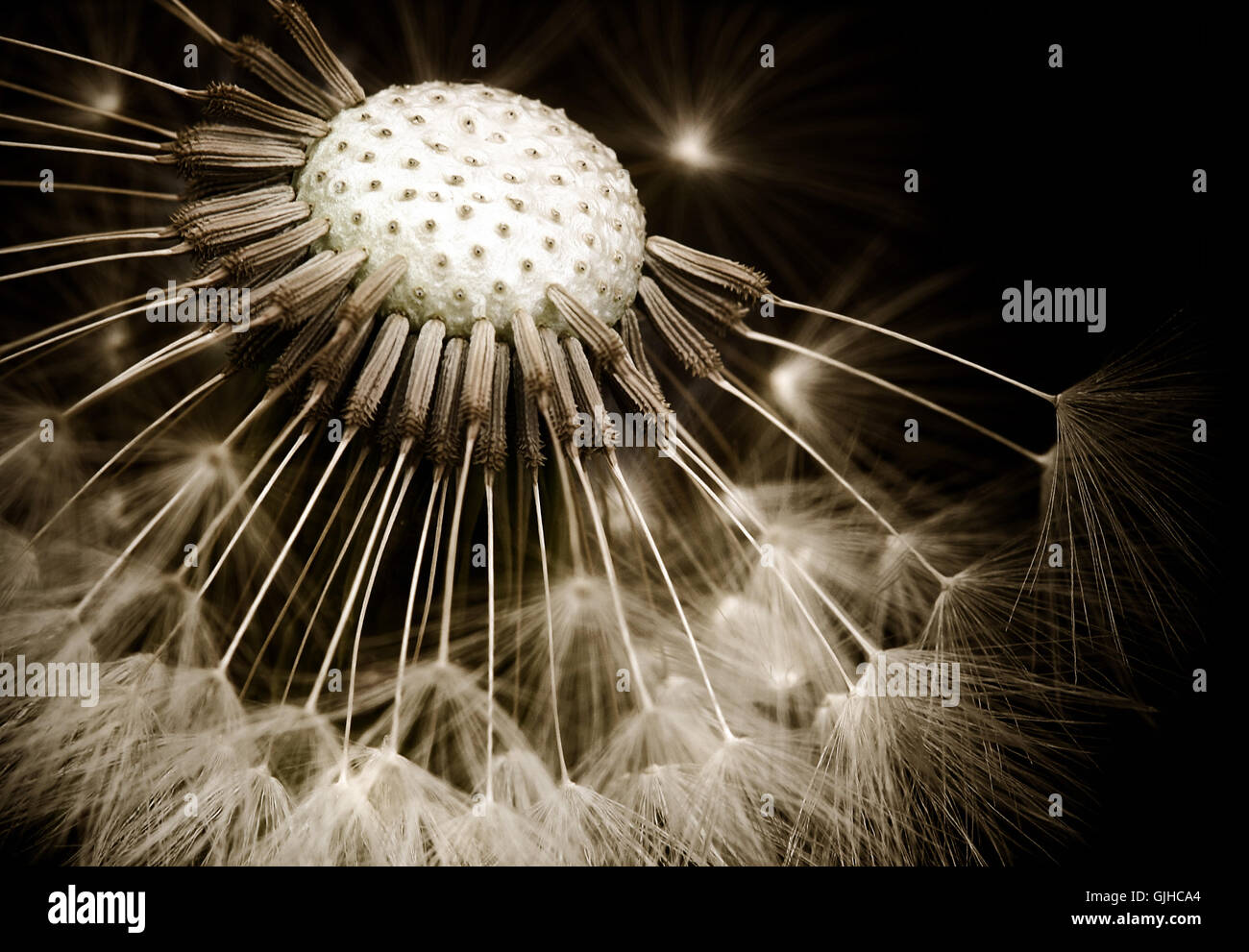 Dissipated life hi-res stock photography and images - Alamy