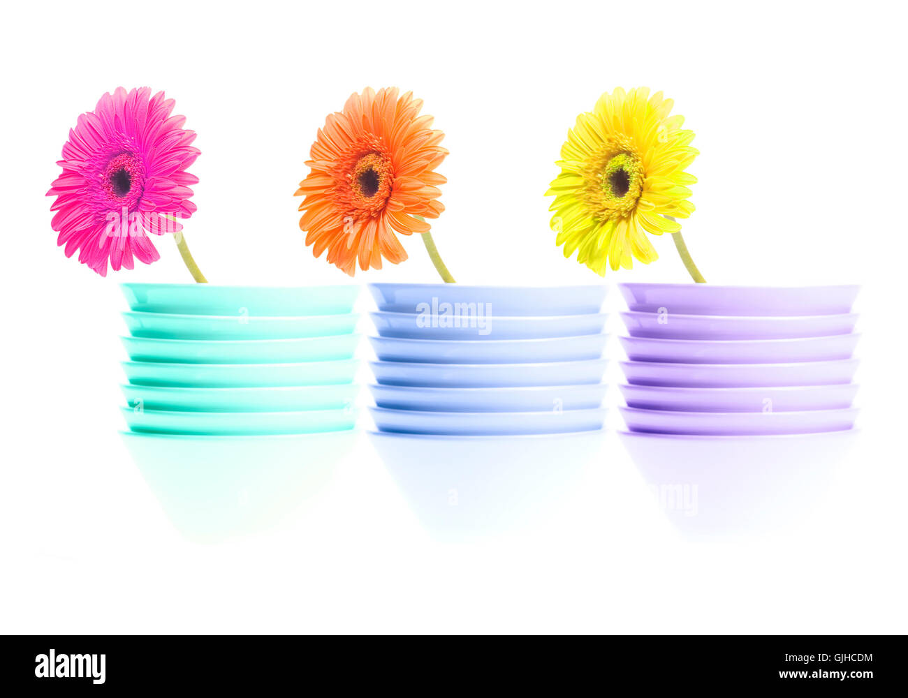 3 flowers hi-res stock photography and images - Alamy