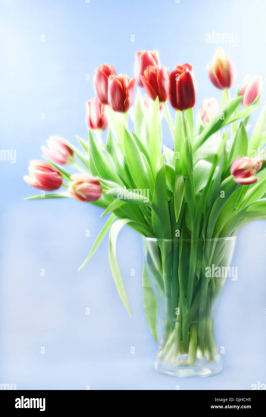 a wafer-spring Stock Photo - Alamy