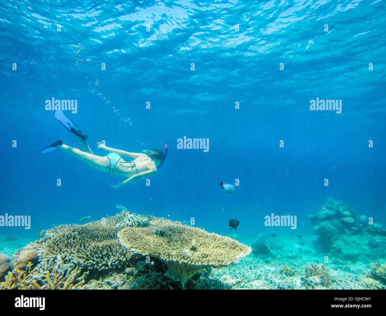 Girl snorkeling underwater High Resolution Stock Photography and Images ...