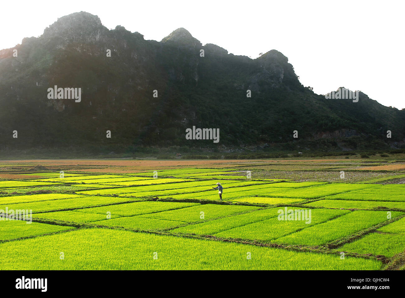 woman shine shines Stock Photo - Alamy