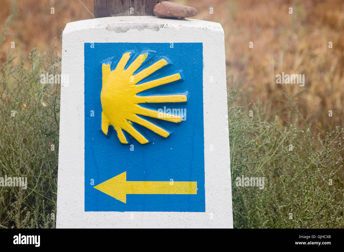 symbol of pilgrimage,the scallop Stock Photo - Alamy