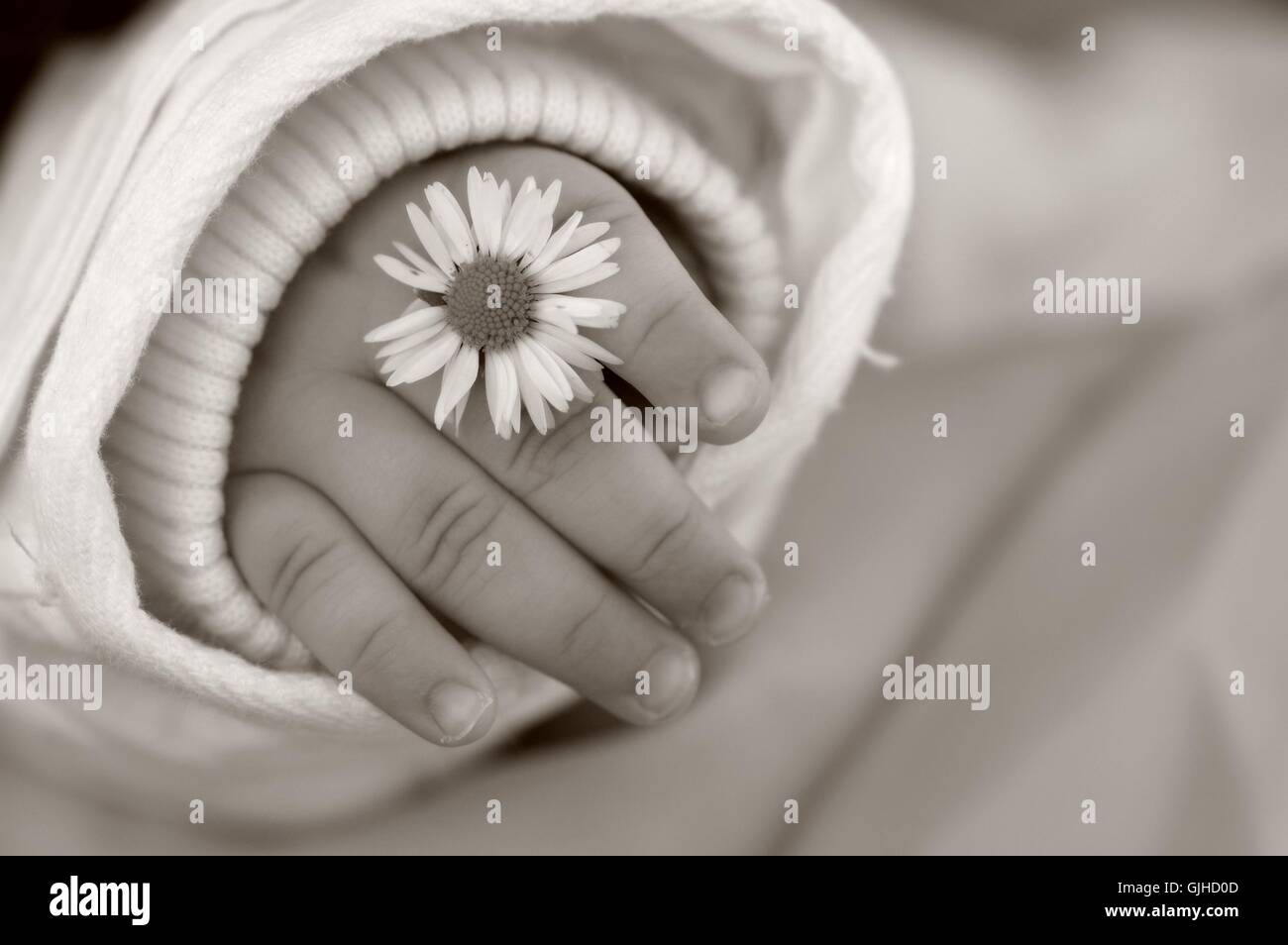 hand hands finger Stock Photo - Alamy