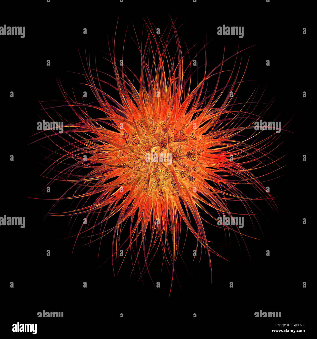Bacterium hi-res stock photography and images - Alamy