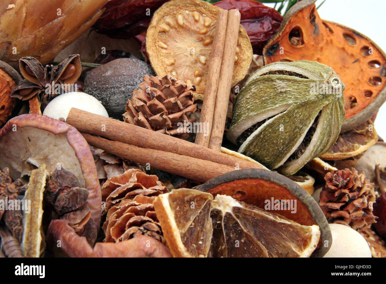 orange carnation fruit Stock Photo - Alamy