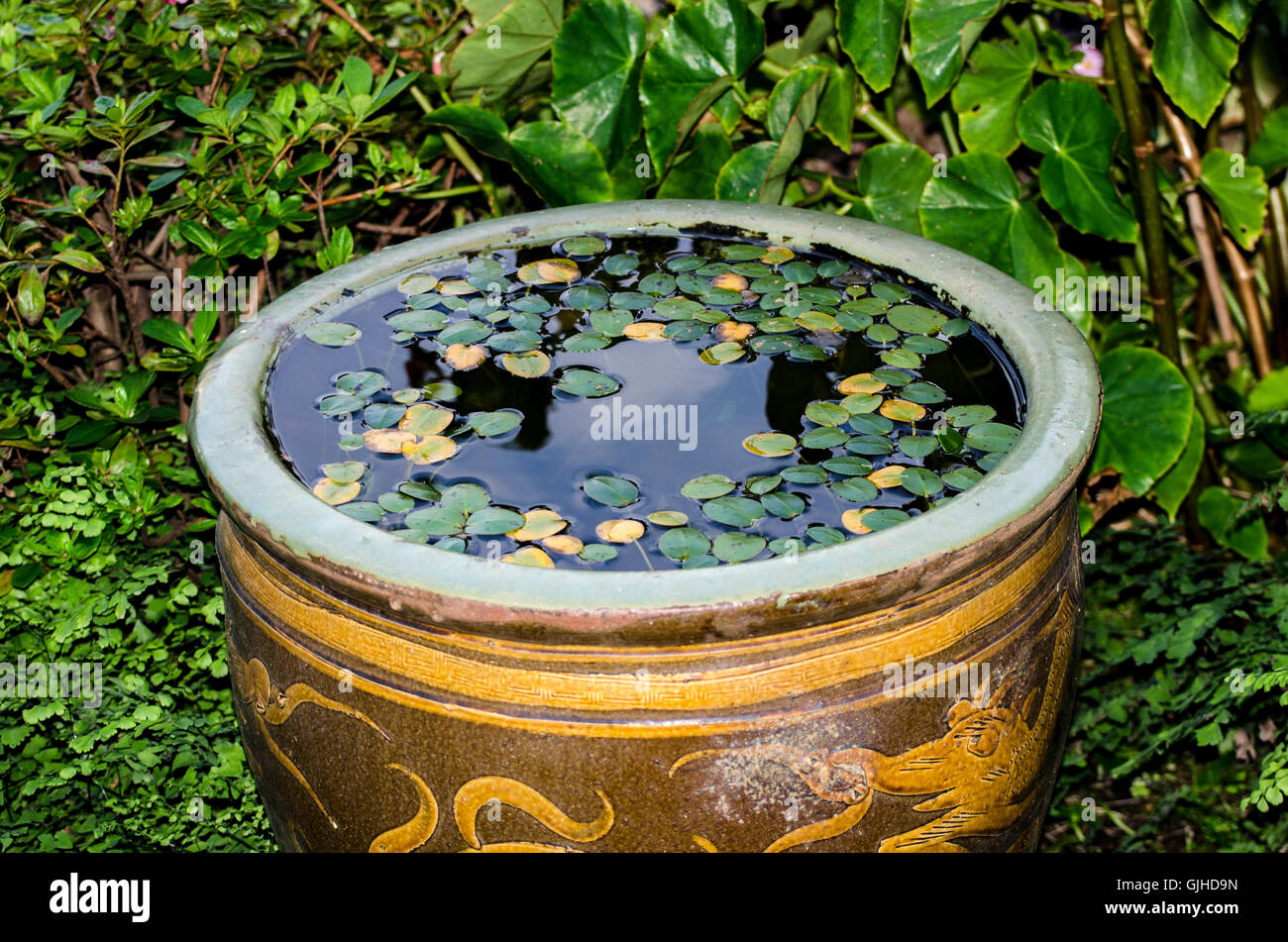 Filled plant pot hi-res stock photography and images - Alamy