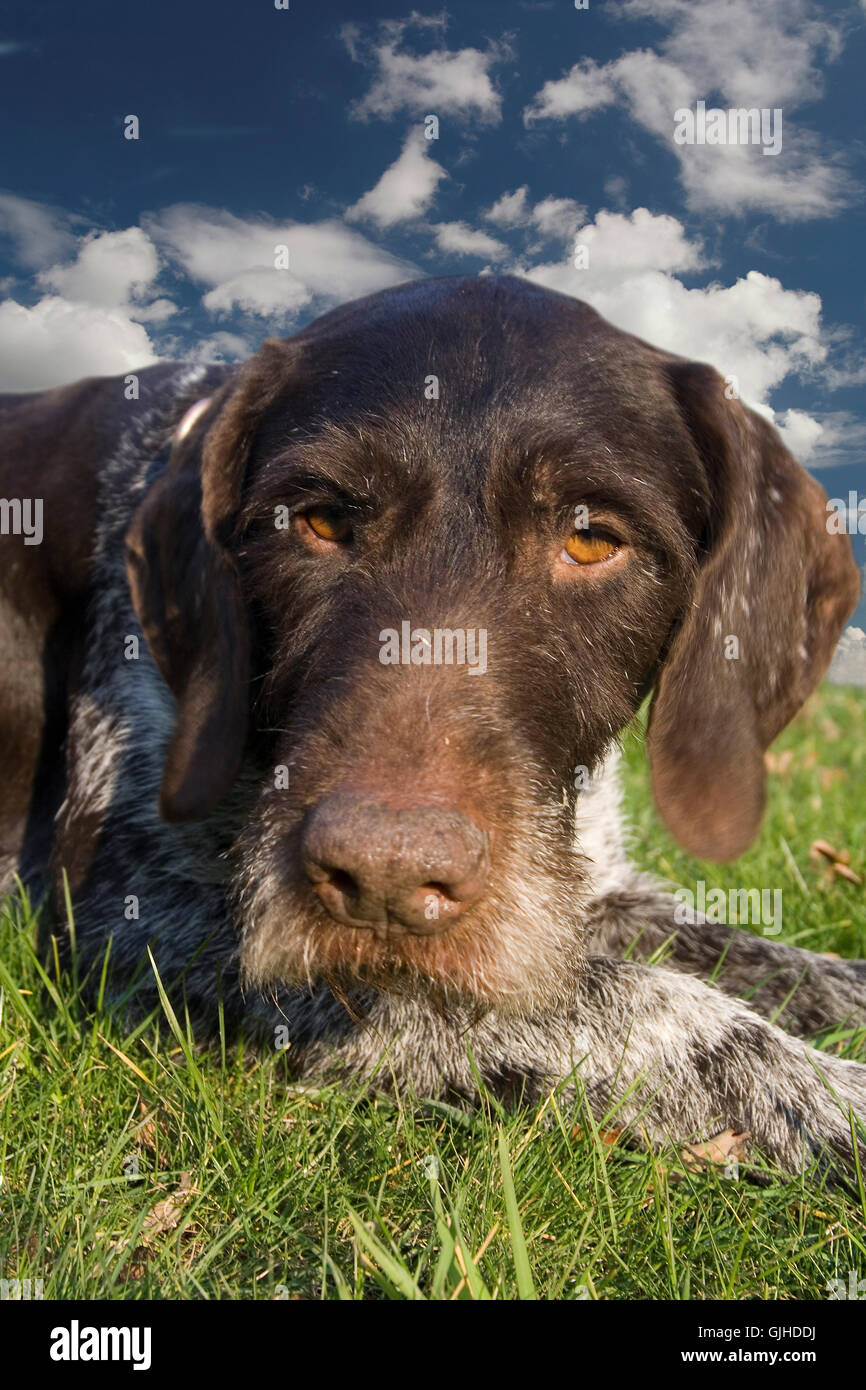 Jghv hi-res stock photography and images - Alamy