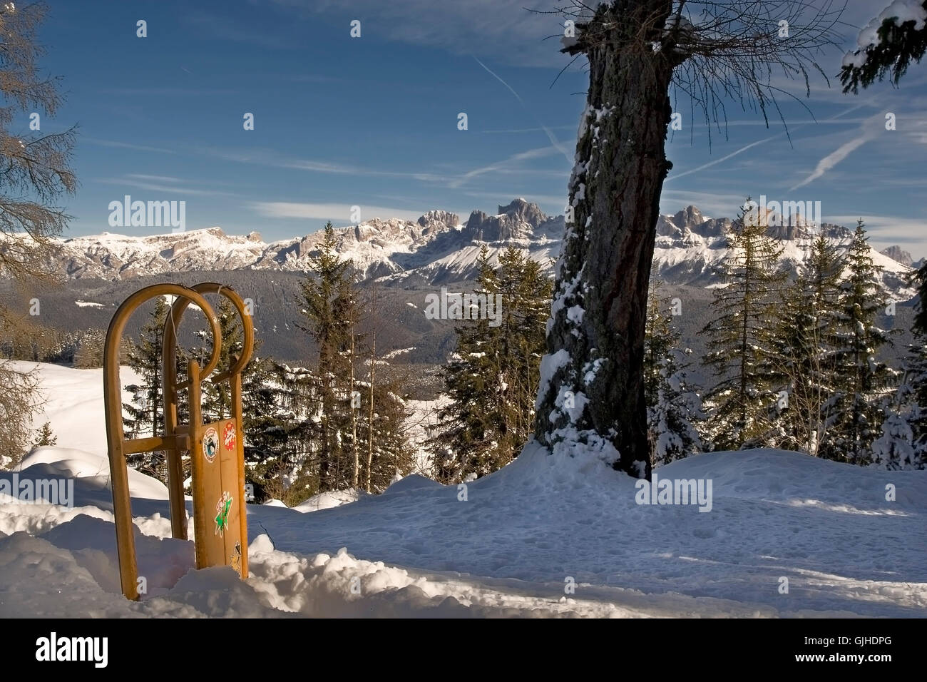 sport sports tree Stock Photo - Alamy