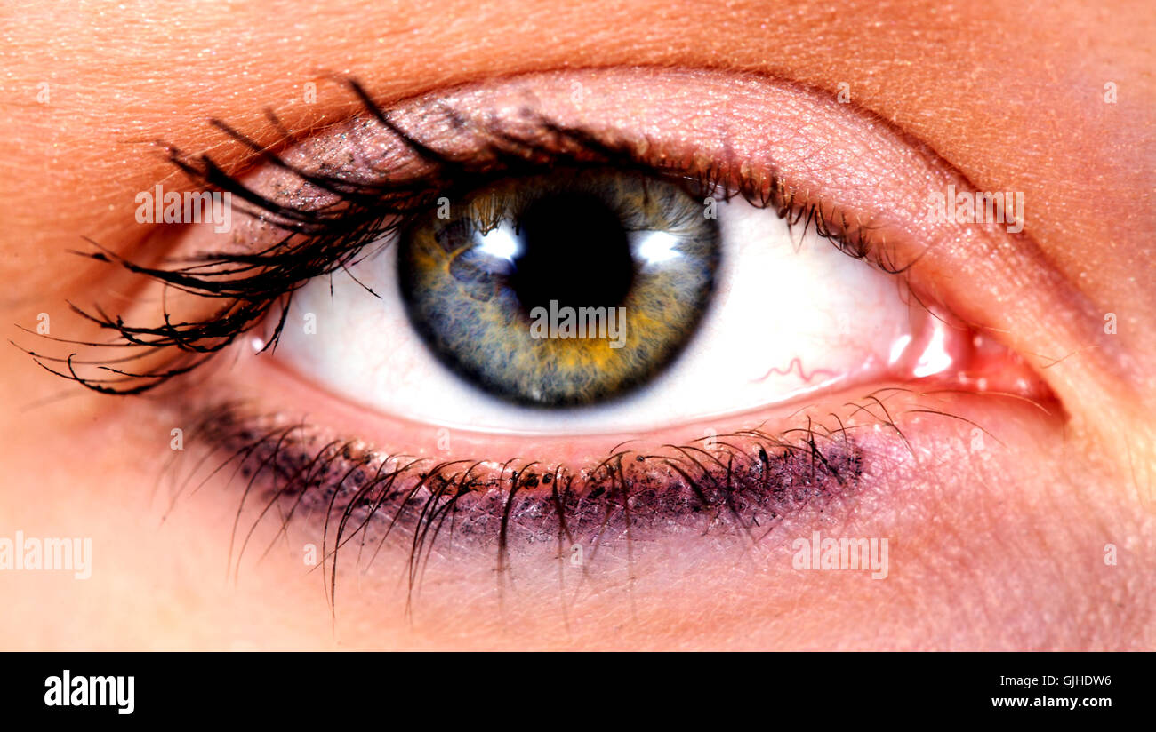 blue macro close-up Stock Photo - Alamy