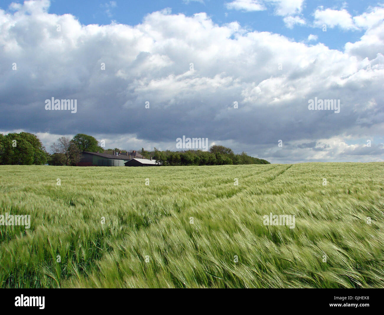 agriculture farming field Stock Photo - Alamy