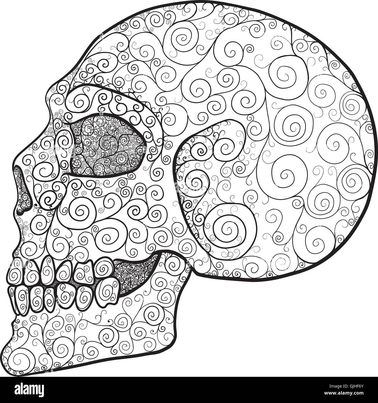 decorated skull profile Stock Vector Image & Art - Alamy