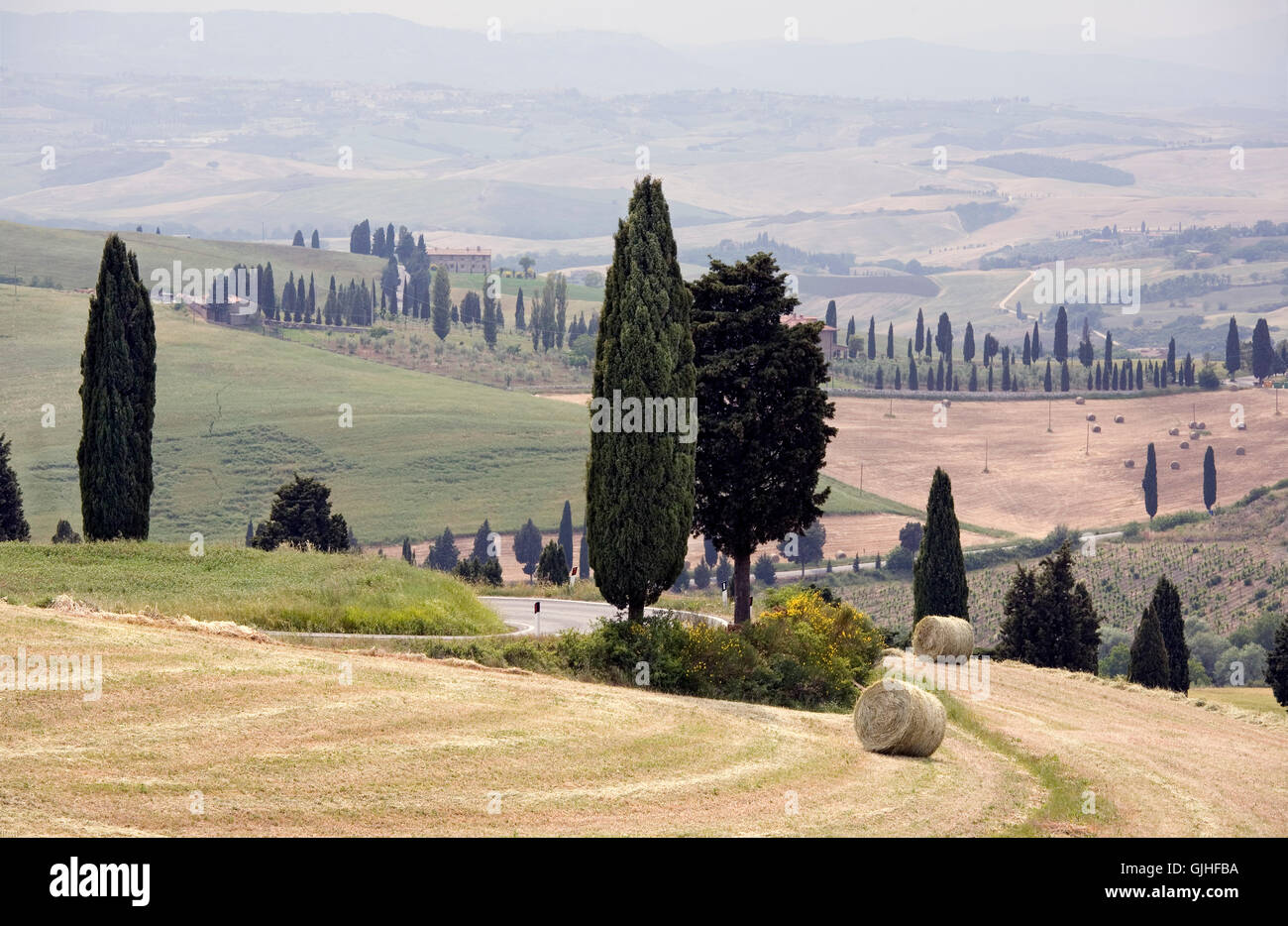 hill field tuscany Stock Photo - Alamy