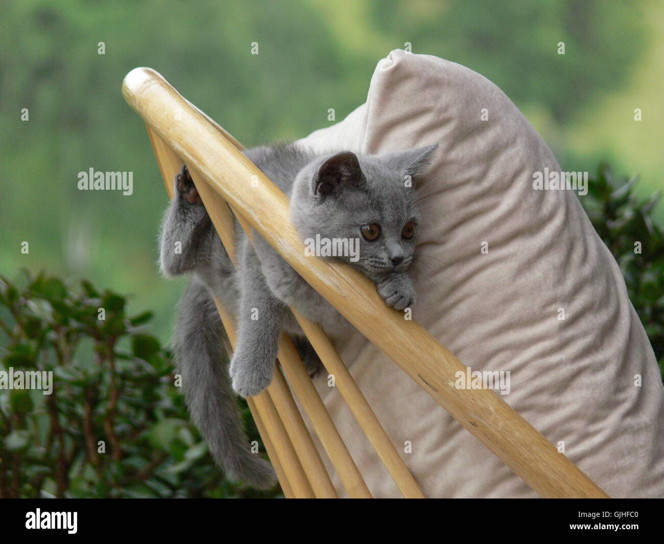 Tournament chair hi-res stock photography and images - Alamy