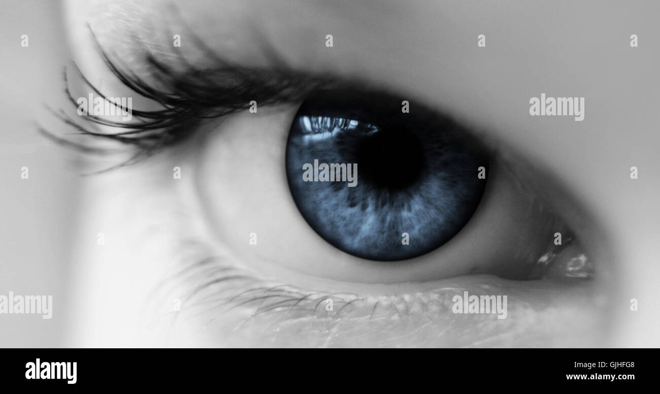 blue eye organ Stock Photo - Alamy