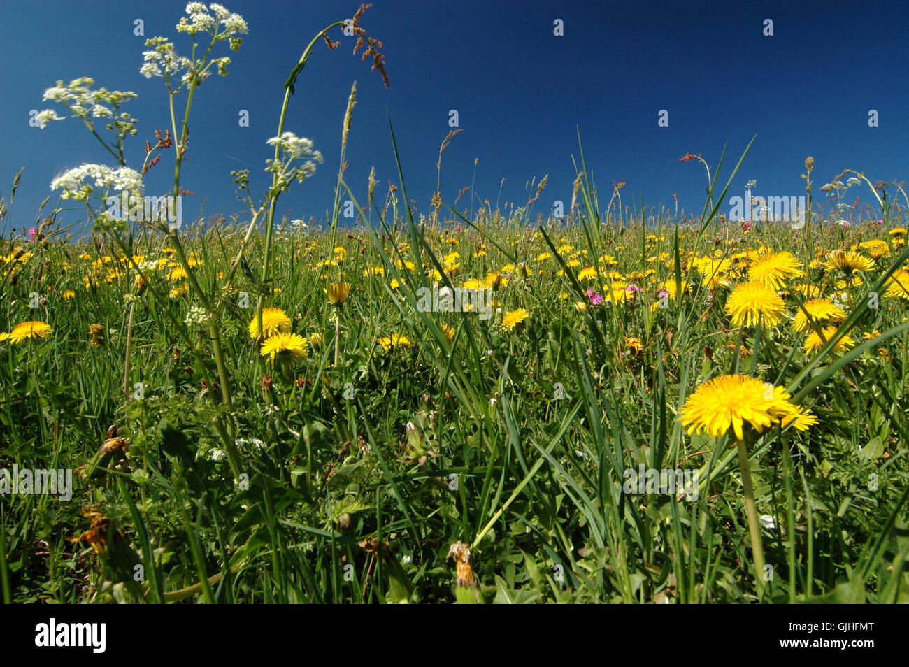 blue environment enviroment Stock Photo - Alamy