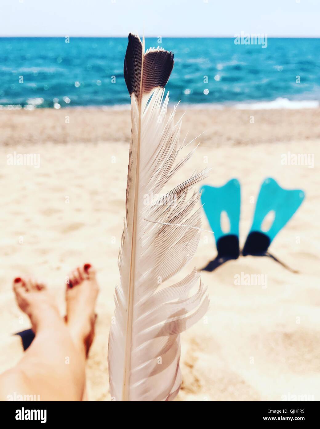 woman's legs, feather and flippers on the beach Stock Photo - Alamy