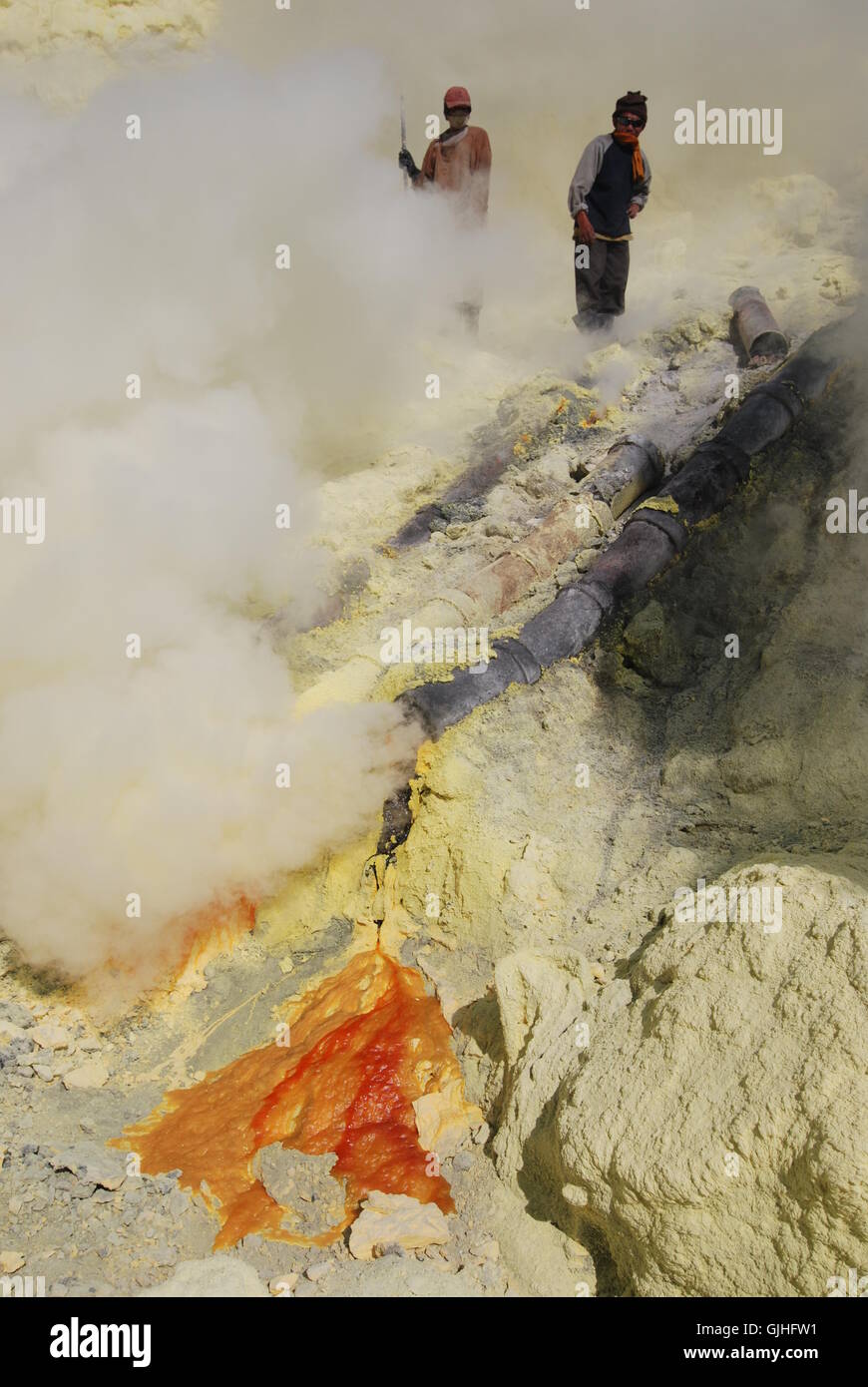 indonesia sulphur brimstone Stock Photo - Alamy