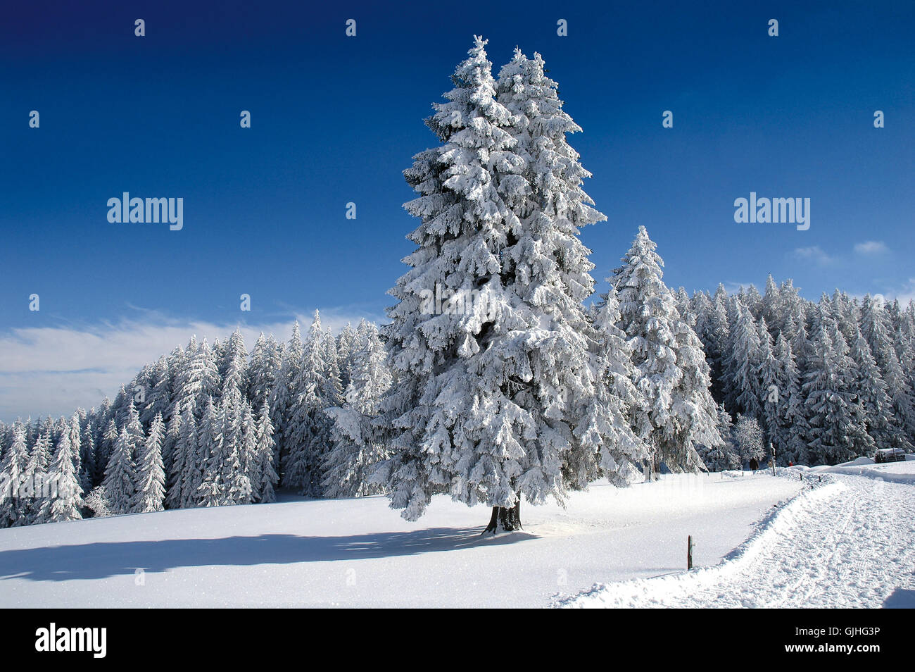 blue spare time free time Stock Photo - Alamy
