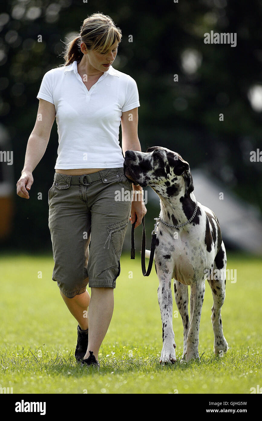 wait waiting black Stock Photo - Alamy