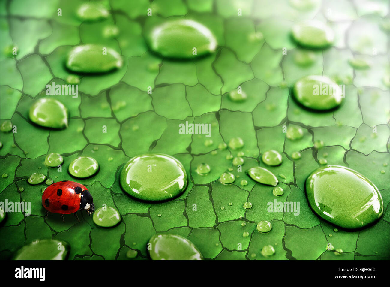 sad flower flowers Stock Photo - Alamy