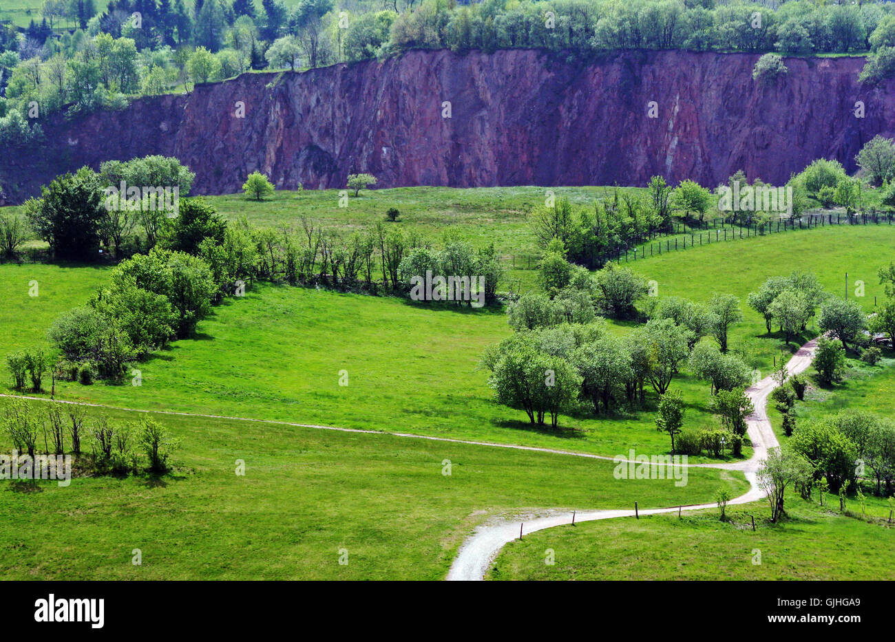 Aerial perspective trees hi-res stock photography and images - Alamy