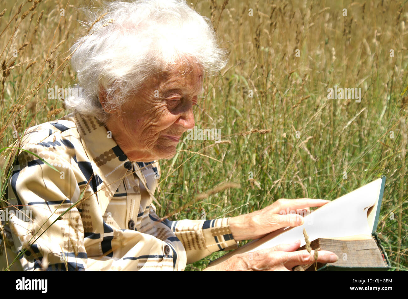 woman education spare time Stock Photo - Alamy