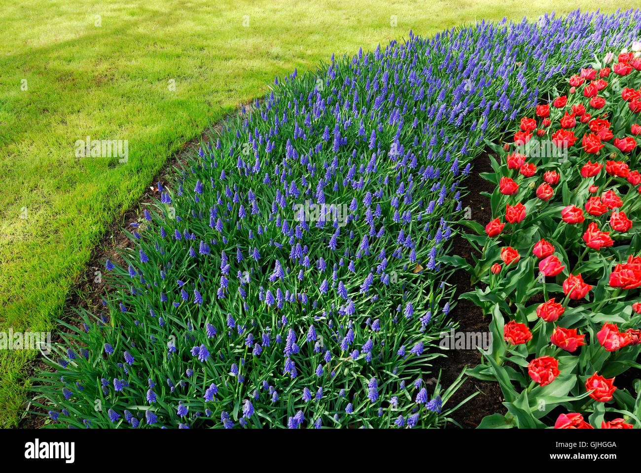 blue park garden Stock Photo - Alamy