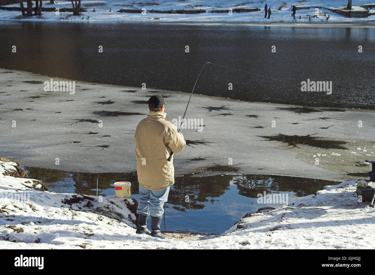 blue winter fish Stock Photo - Alamy