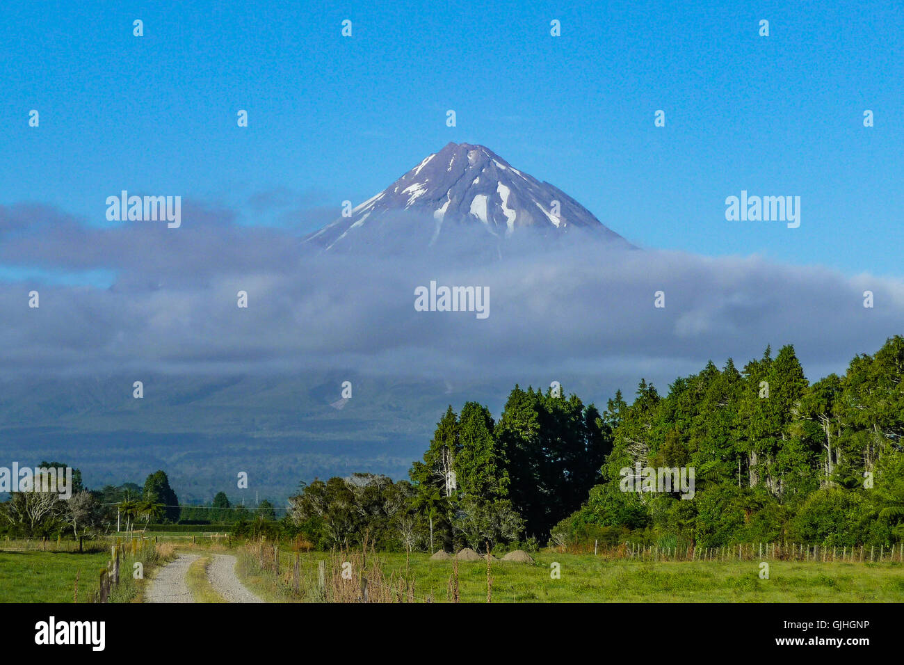 Road to Mount Taranaki, North Island, New Zealand Stock Photo - Alamy