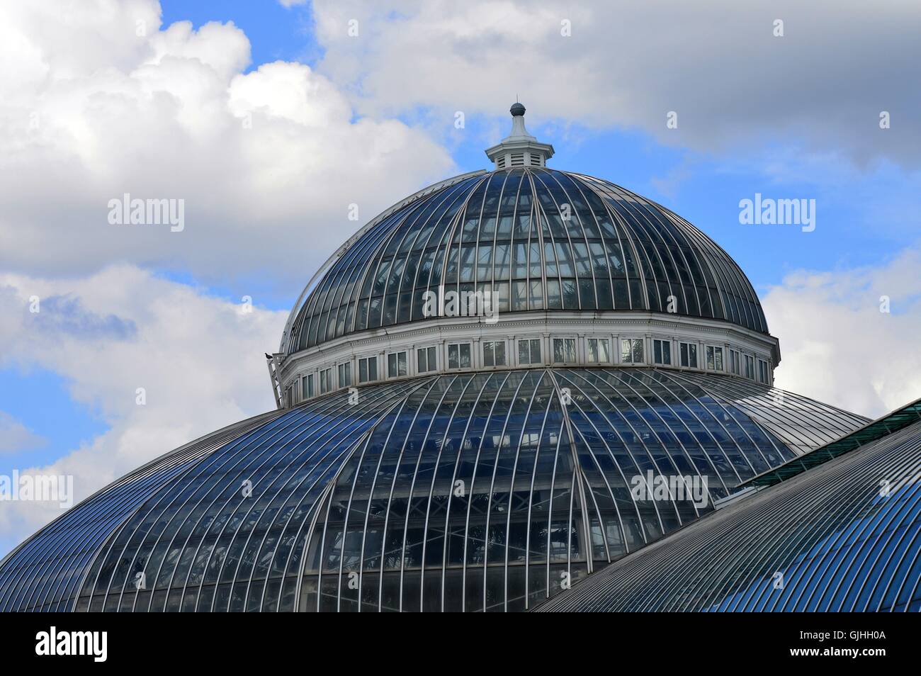 Como Conservatory in St. Paul, Minnesota Stock Photo - Alamy