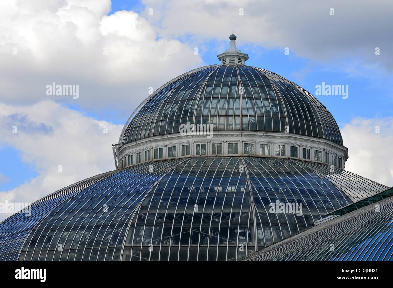 Como Conservatory in St. Paul, Minnesota Stock Photo - Alamy