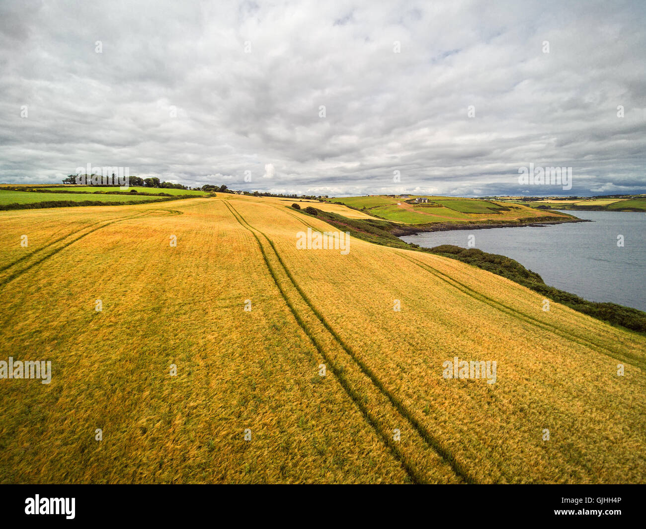 Coastline and sea, Sandycove Island, Cork, Munster, Ireland Stock Photo ...