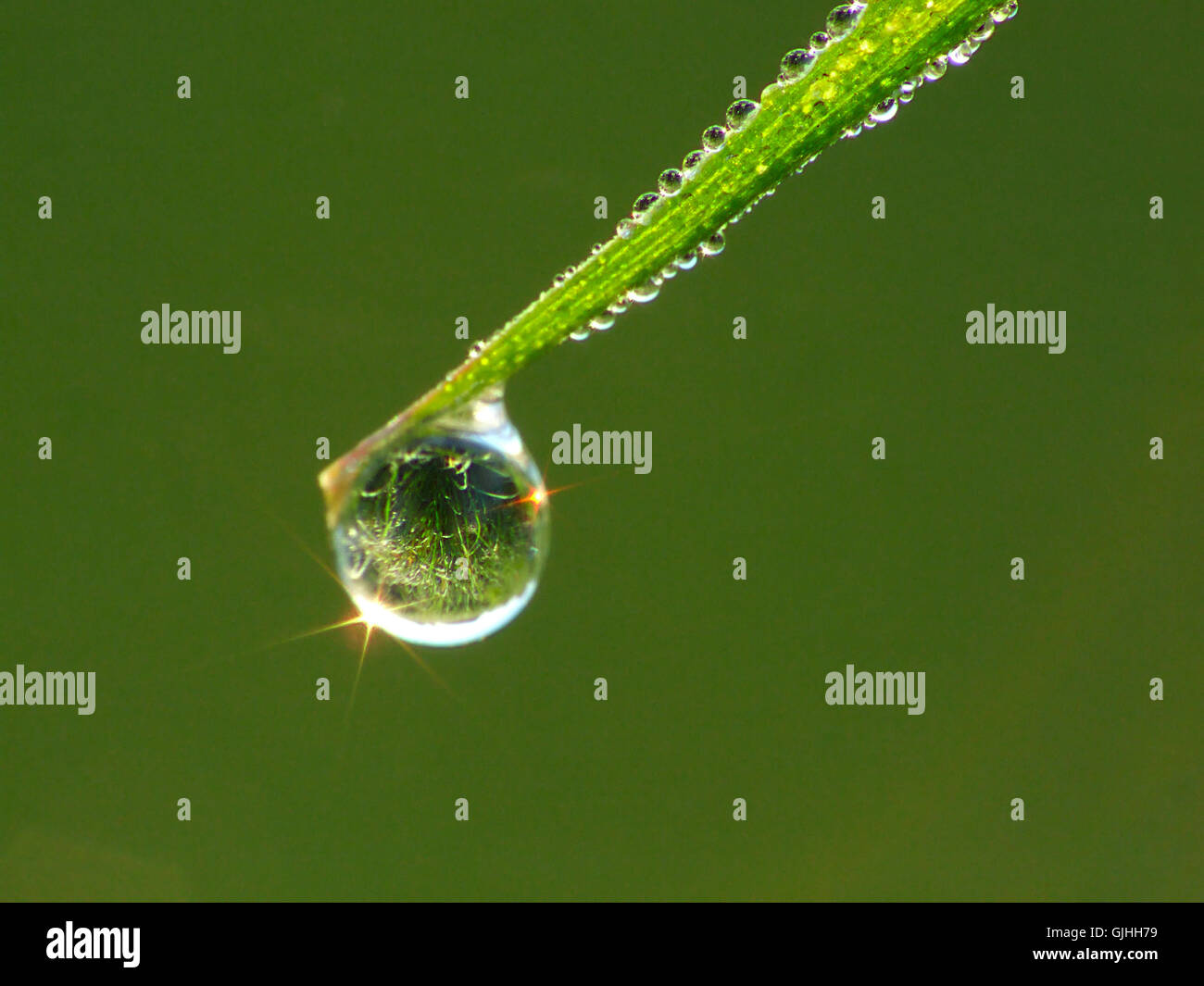 water is life Stock Photo - Alamy