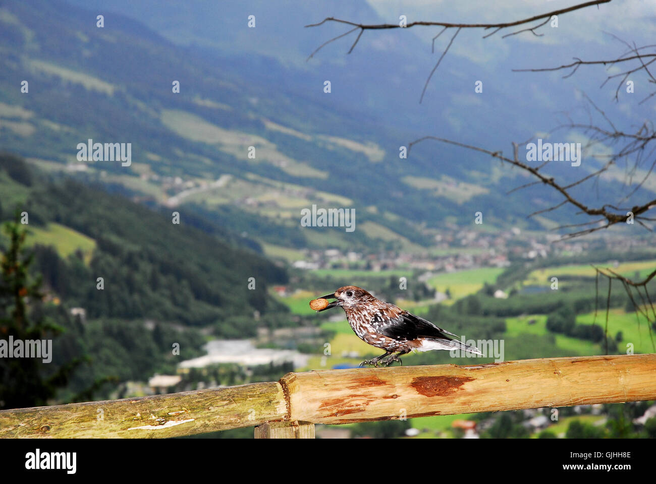 Holzgelander High Resolution Stock Photography and Images - Alamy