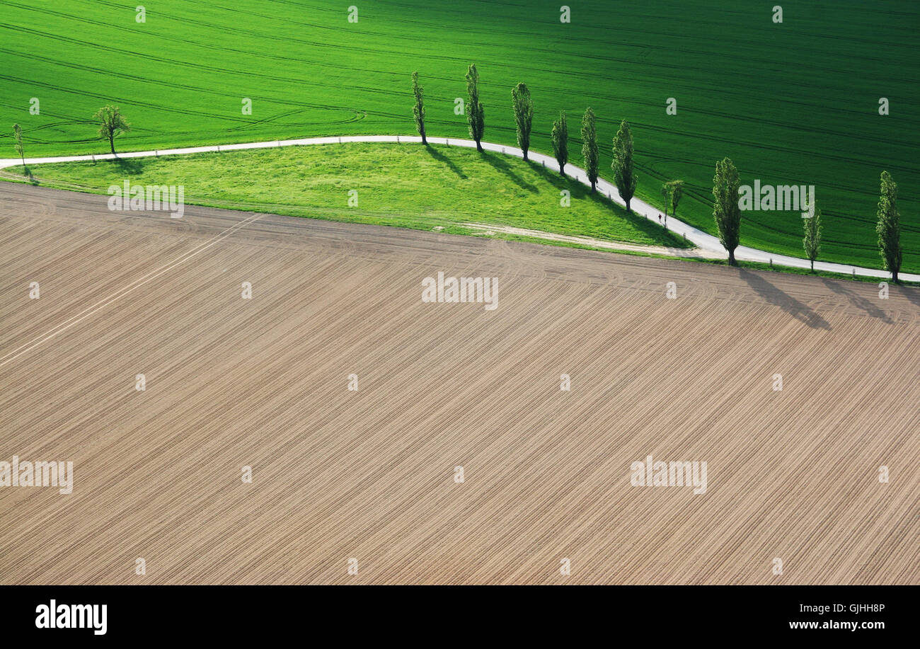 aerial perspective tree trees Stock Photo - Alamy