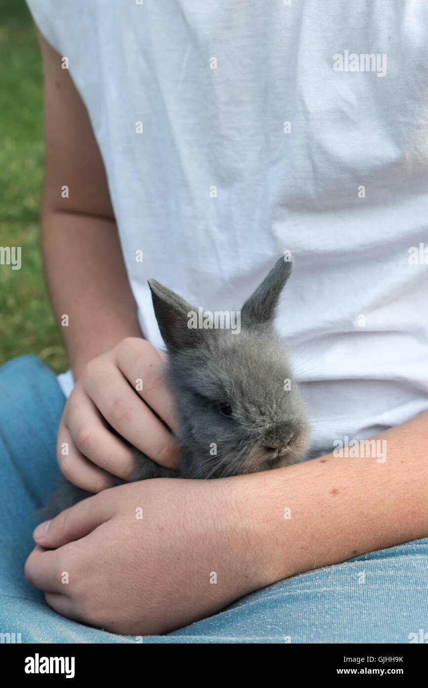 Boy holding a rabbit Stock Photo - Alamy