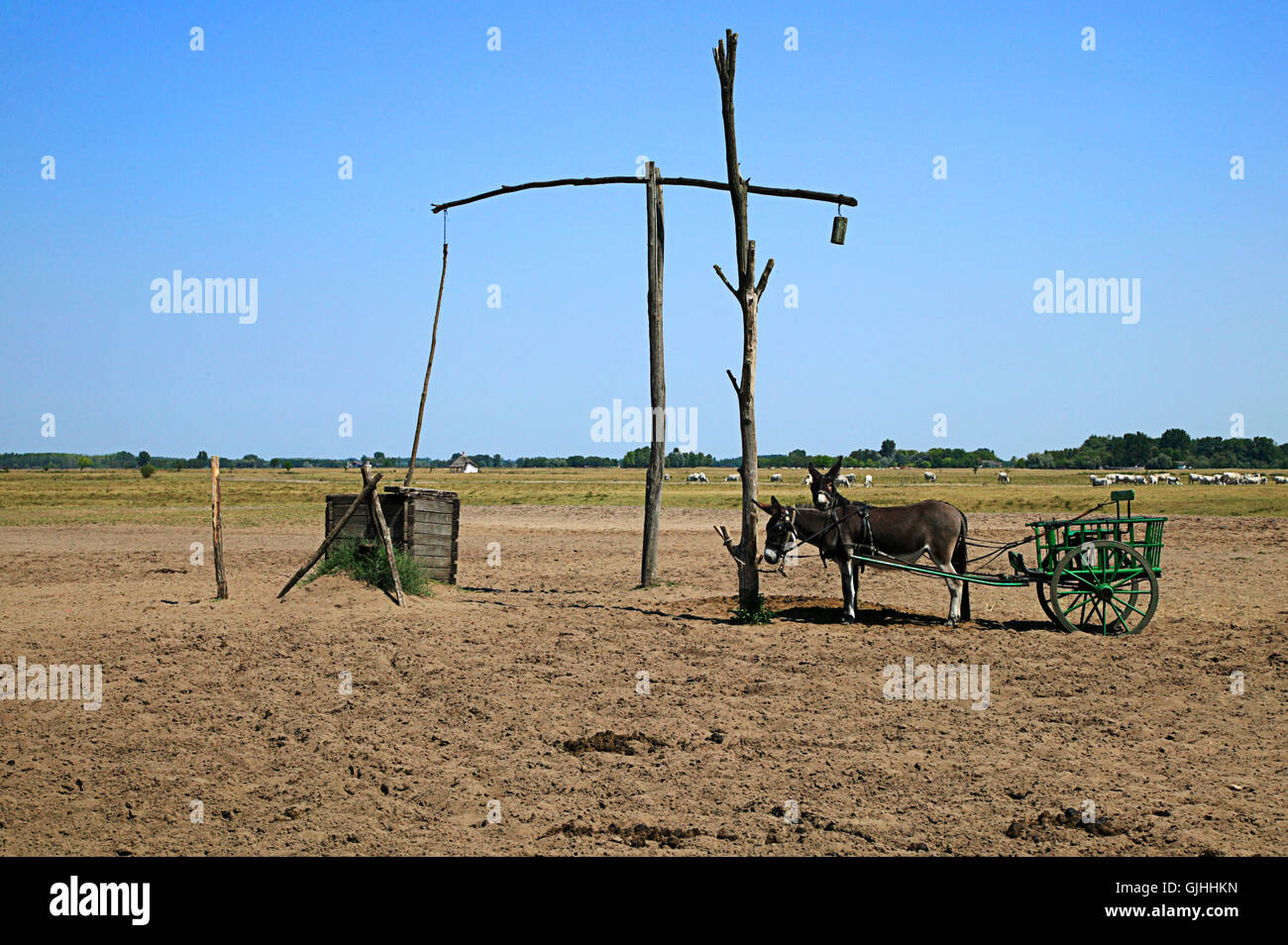 Pusta hi-res stock photography and images - Alamy