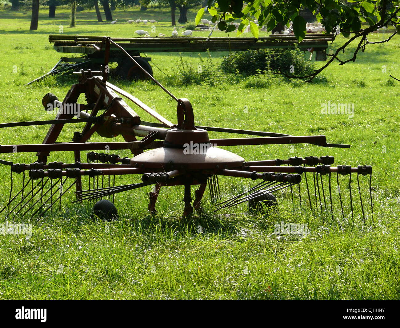 Tedder hi-res stock photography and images - Alamy