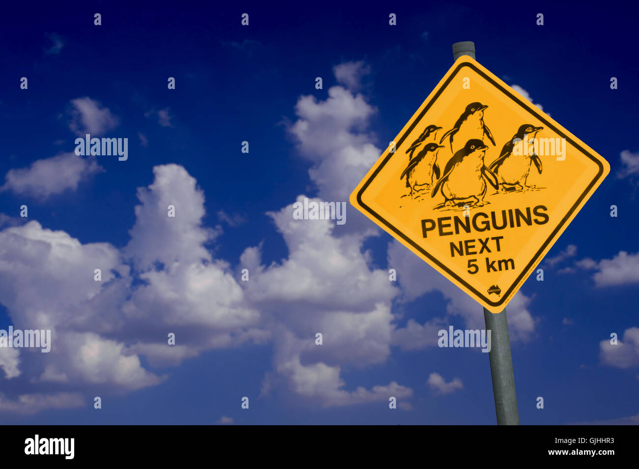 Penguin traffic sign hi-res stock photography and images - Alamy