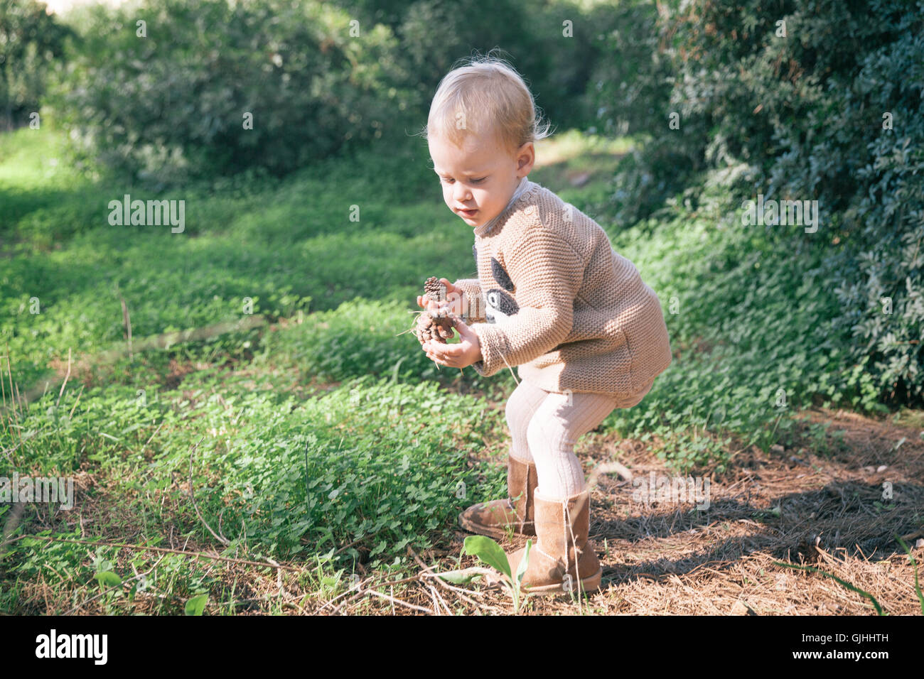 Collecting cones hi-res stock photography and images - Alamy