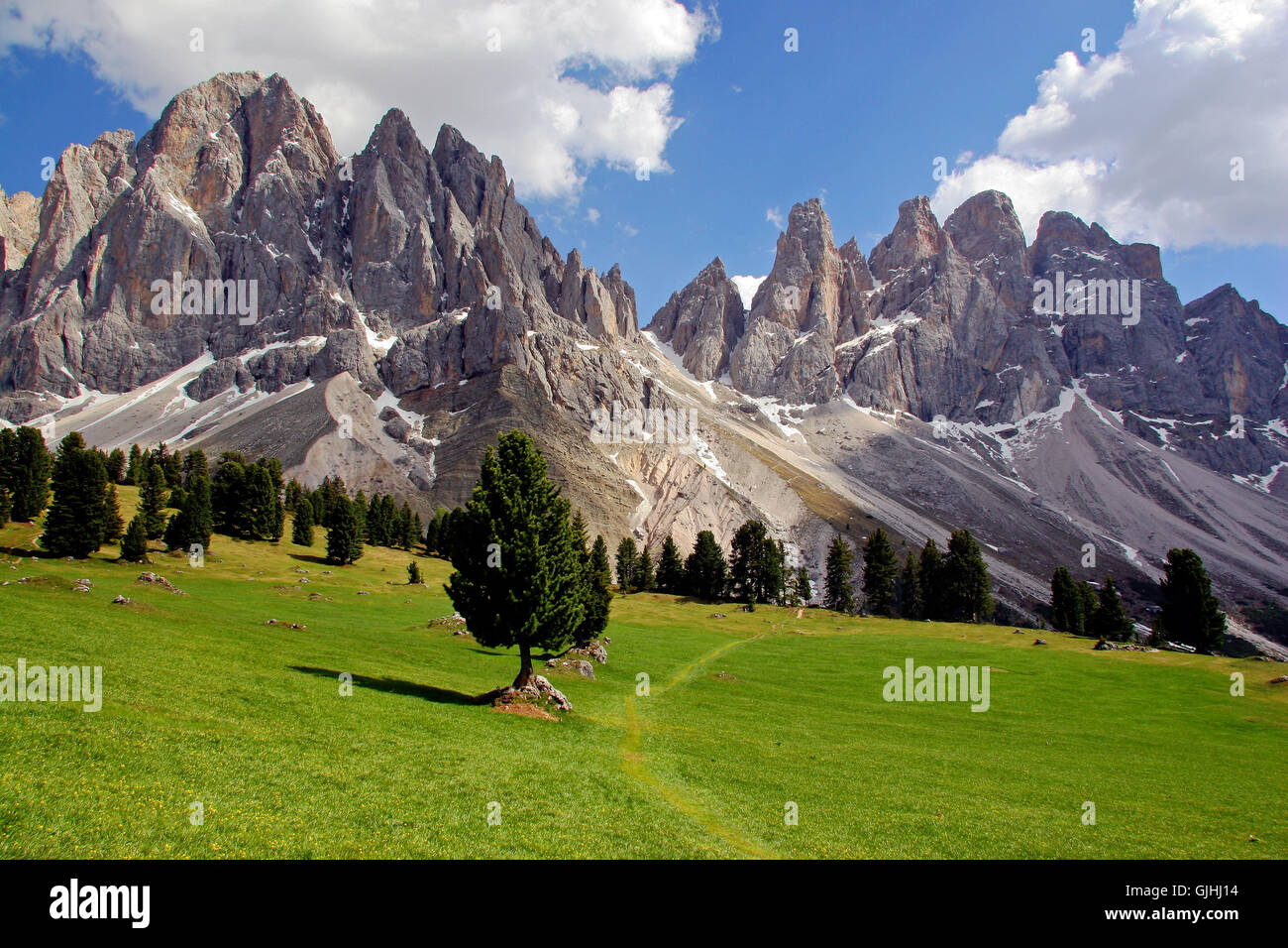 on the alm Stock Photo - Alamy