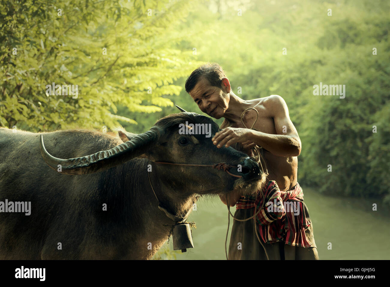 Man with buffalo hi-res stock photography and images - Alamy