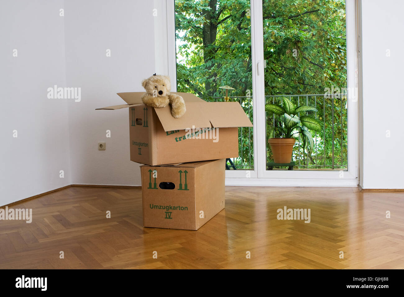 Teddy bear moving box hi-res stock photography and images - Alamy