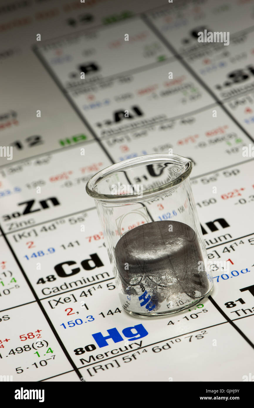 liquid mercury in a little beaker placed on periodic table of elements ...