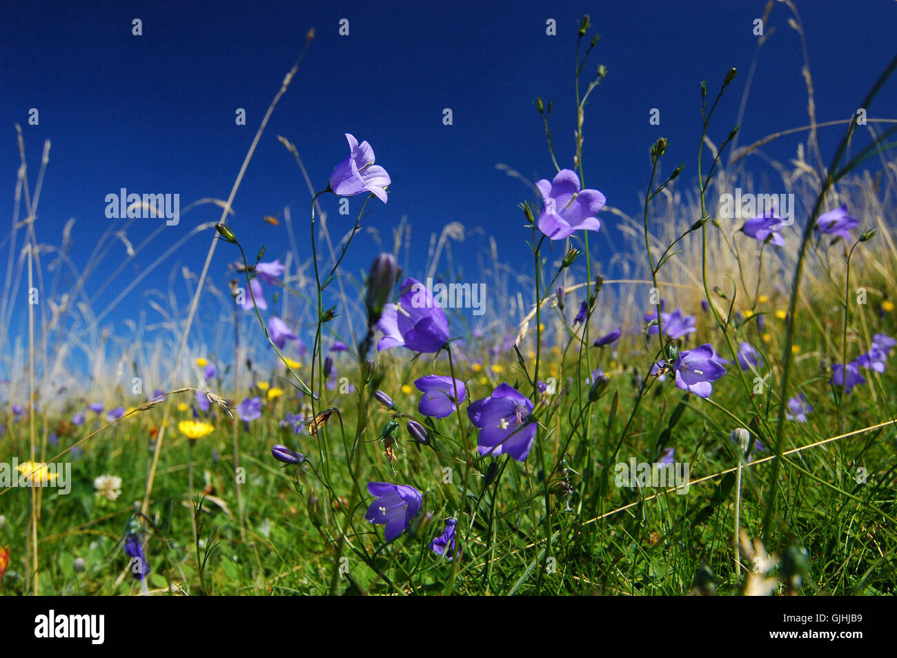 blue environment enviroment Stock Photo - Alamy
